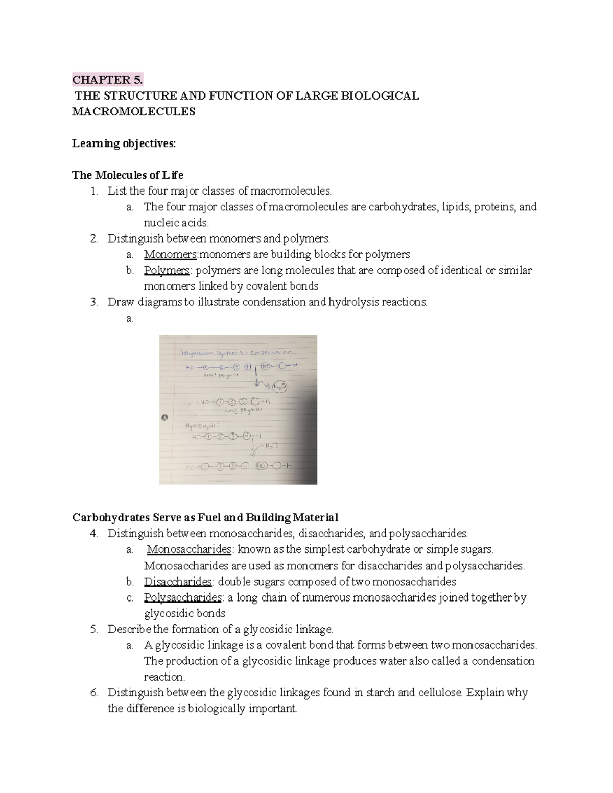 Chapter 5 - CHAPTER 5. THE STRUCTURE AND FUNCTION OF LARGE BIOLOGICAL ...