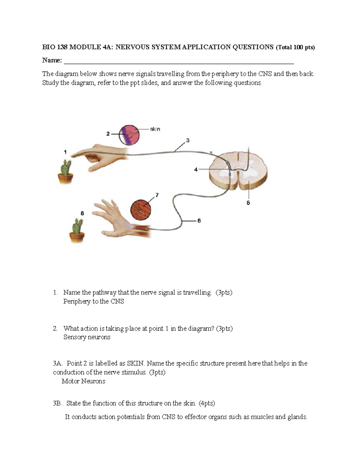 BIO 138 Module 4A application questions 2 - BIO 138 MODULE 4A: NERVOUS ...