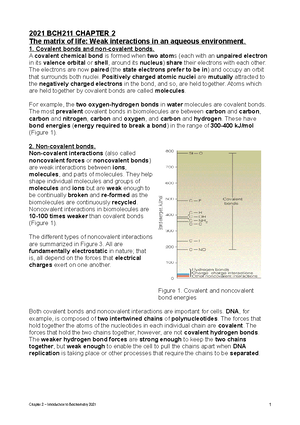 BCH211 and BCH 212 combined Practical manual 2020 - DEPARTMENT OF ...