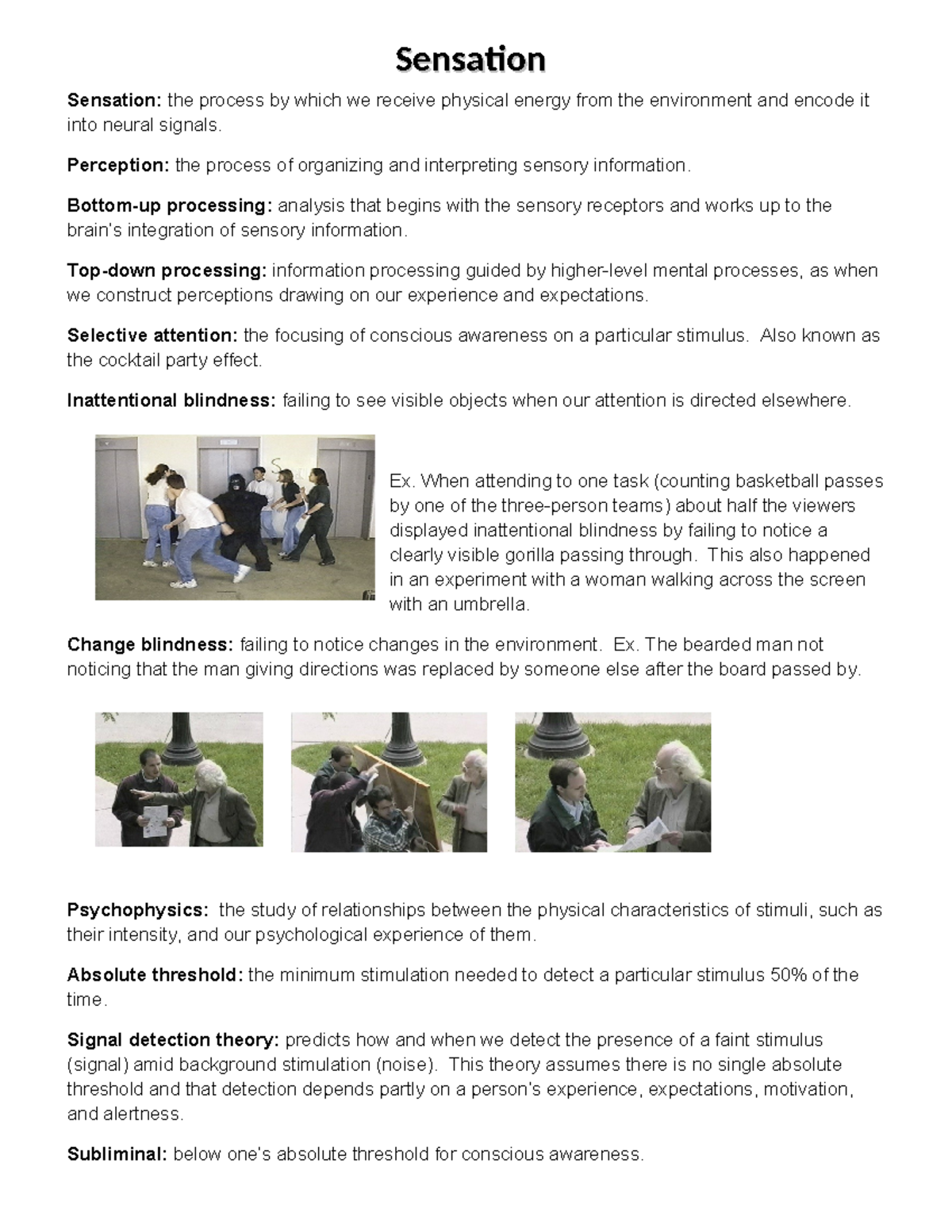 Sensation Perception Review Sheet - Sensation: the process by which we ...