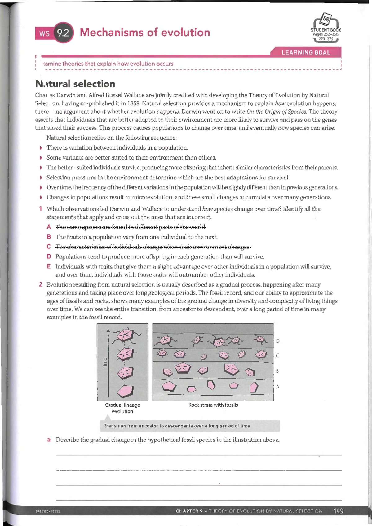 Depth Study Lesson 7 9.2 Mechanisms of evolution BIF skills - STUDENT ...