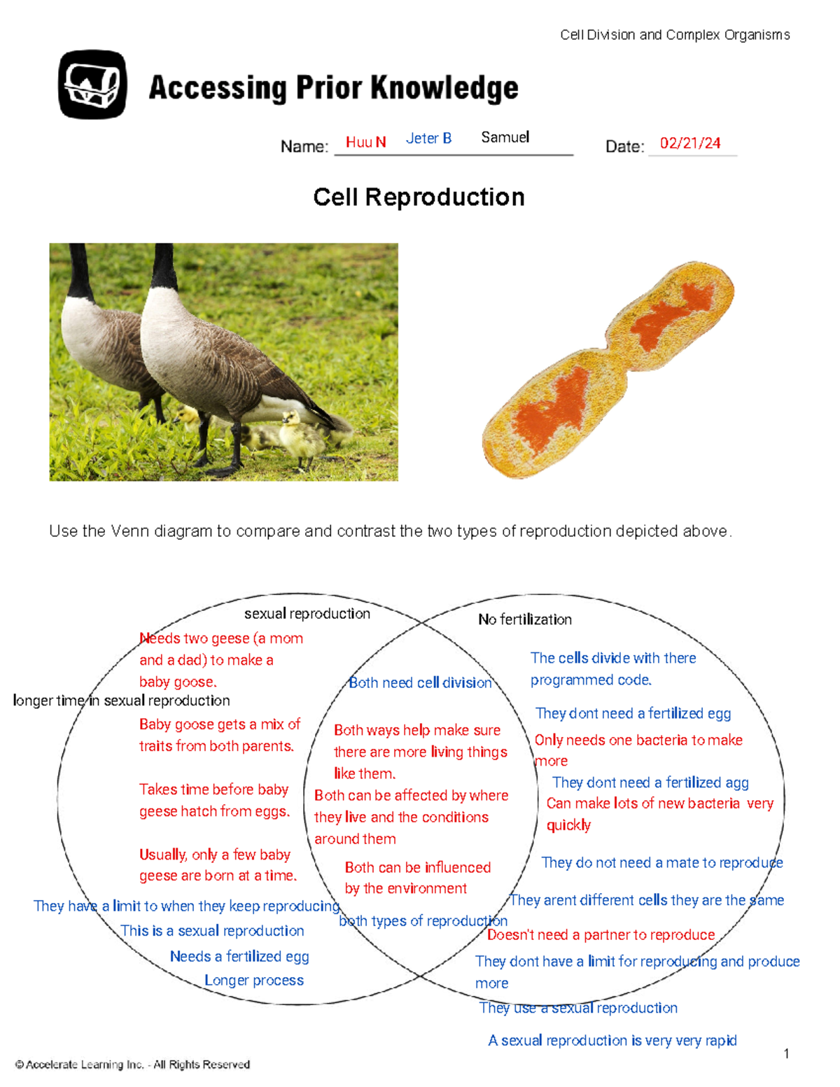 Kami Export - Huu Nguyen - NGSS HSLS Cell Division And Complex ...