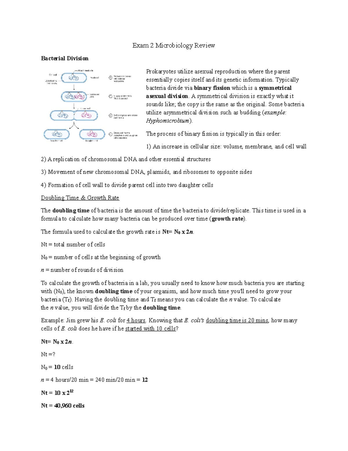 Exam 2 Microbiology - Study Guide for Exam 2 - Exam 2 Microbiology ...