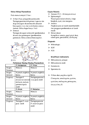 P5 Gastrodiscus Hominis - Gastrodiscoidiasis adalah infeksi yang ...