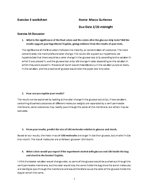 ICT Multimedia Cloze Notes Lesson 01 Student - ICT Multimedia ...