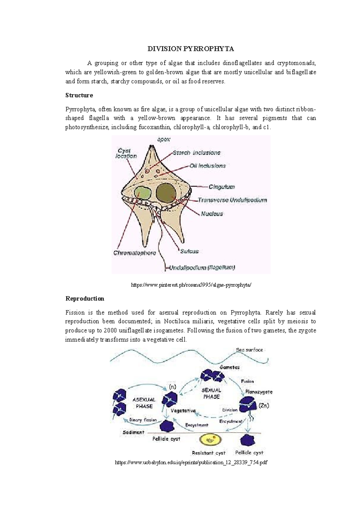 1 - Botany - Classification of Plants - DIVISION PYRROPHYTA A grouping ...