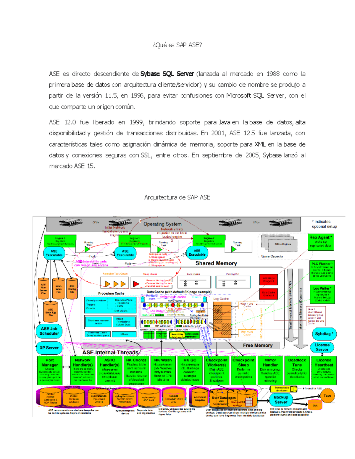 Qué es SAP ASE - Guia manejo sap ase - ¿Qué es SAP ASE? ASE es directo ...