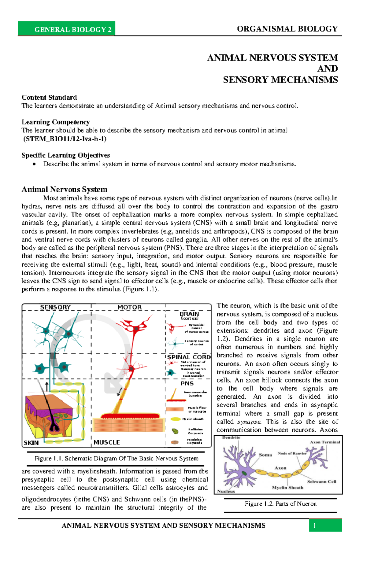 Week 004 Animal Nervous System AND Sensory Mechanisms - Figure 1. Schematic Diagram Of The Basic ...