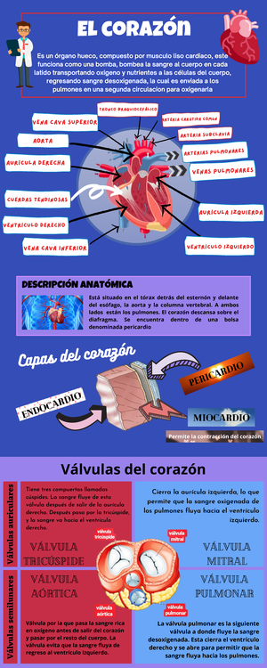 Anatomía de la rata - CHido - Facultad de Estudios Superiores ...