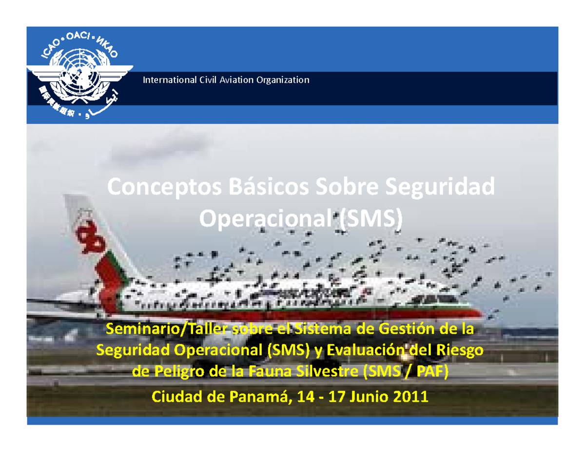 01 LR Conceptos Básicos Sobre Seguridad Operacional (SMS) estructura ...