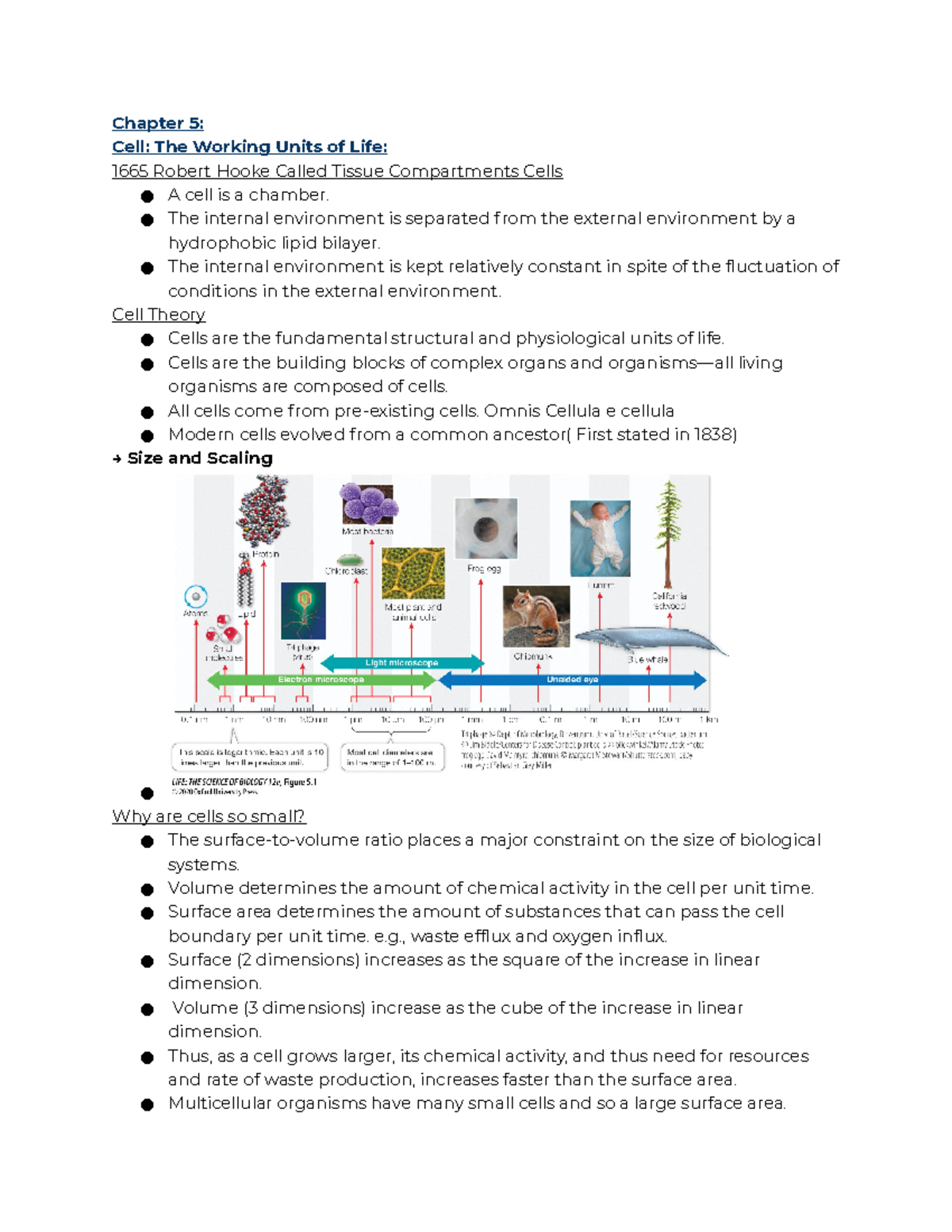 Lecture notes chapter 5 - Chapter 5: Cell: The Working Units of Life ...
