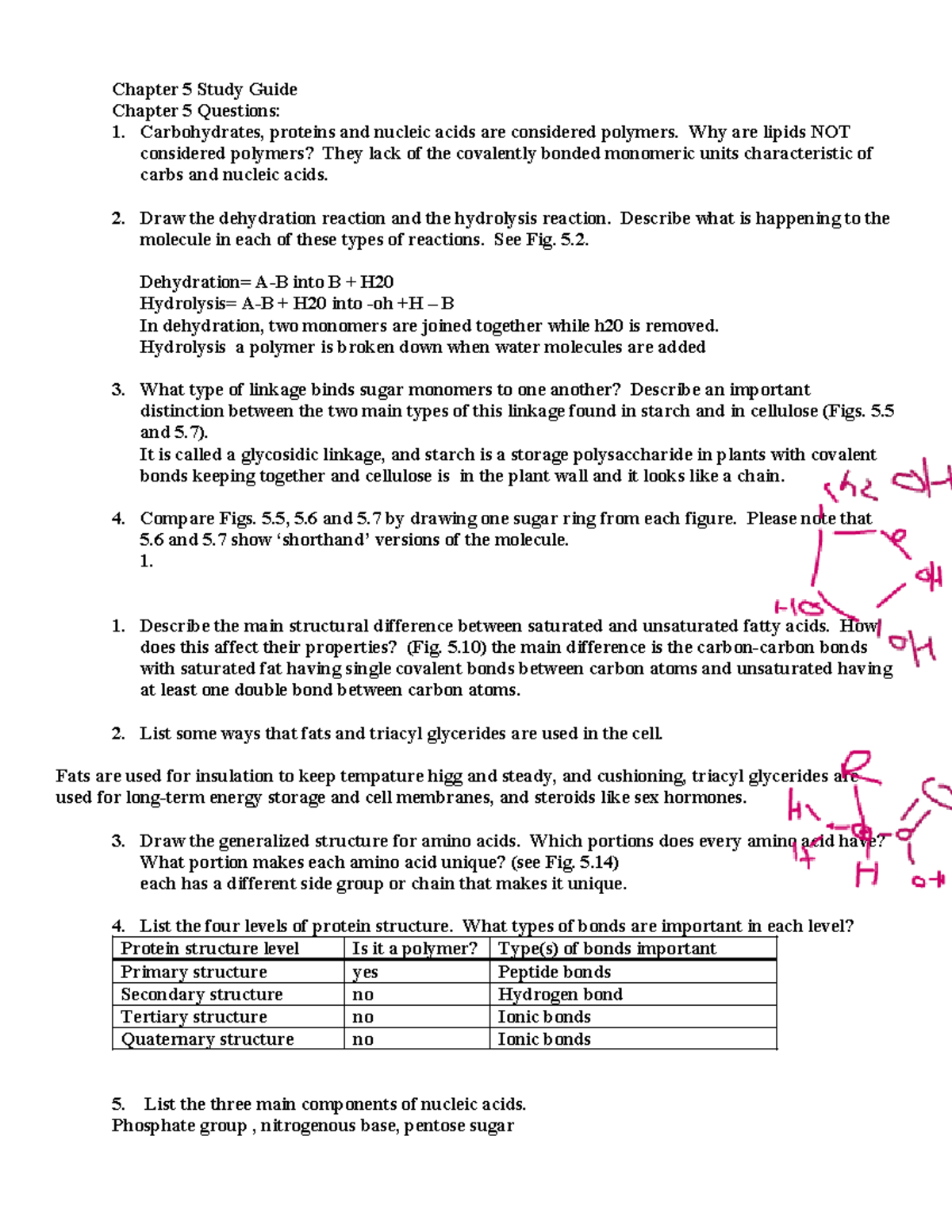 Chapter 5 study guide updated 8-25-23 - Chapter 5 Study Guide Chapter 5 ...