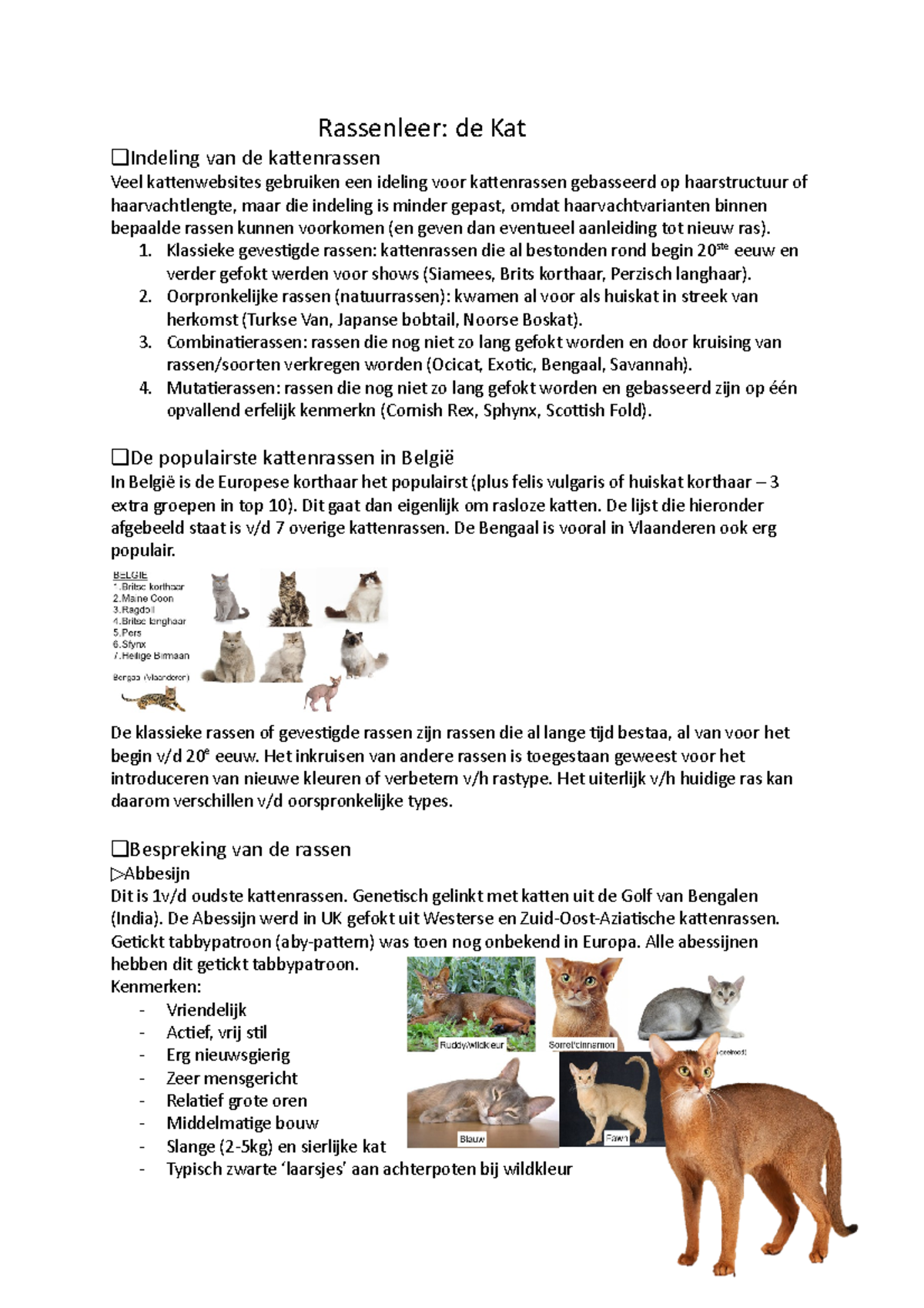 Rassenleer KAT - Samenvatting rassen kat. - Rassenleer: de Kat Indeling ...