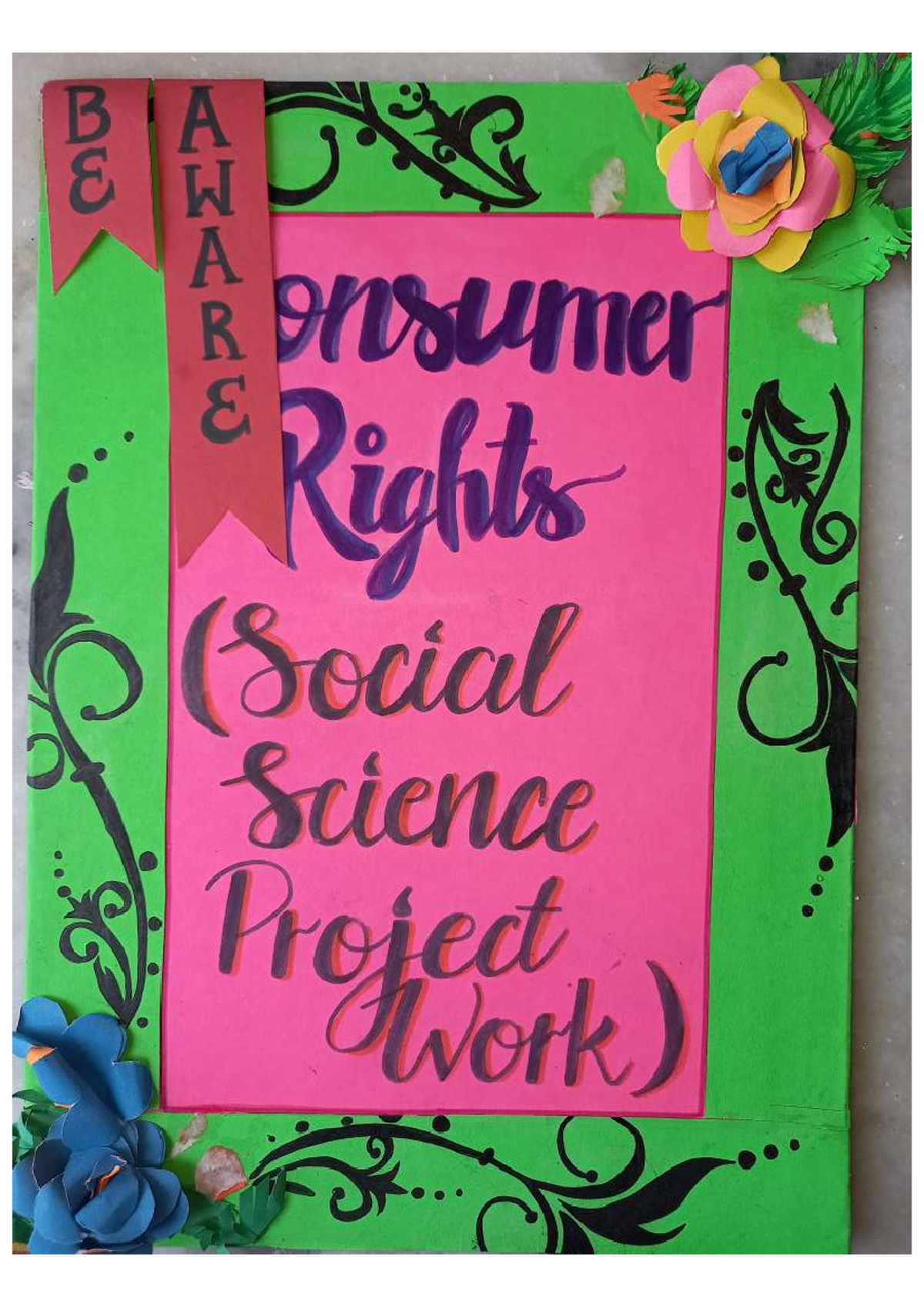 Consumer Rights Project - B A E W A R ensumer Rights (Social Science ...