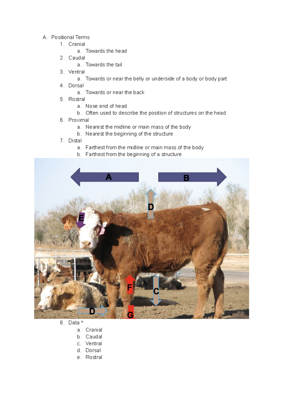 1. Introduction and Terminology Tissues, Cells, and Movement - A ...
