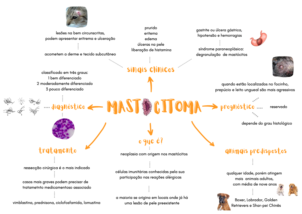 Mastocitoma - o que é? neoplasia com origem nos mastócitos animais ...
