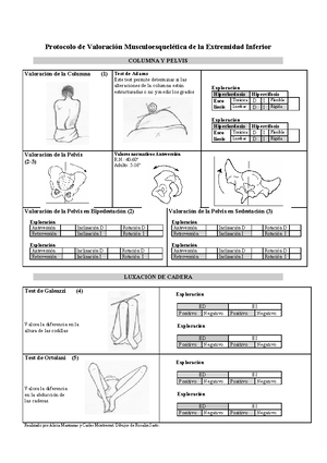 Escala DE Equilibrio DE BERG 1 - Postgrado en Fisioterapia Pediátrica ...