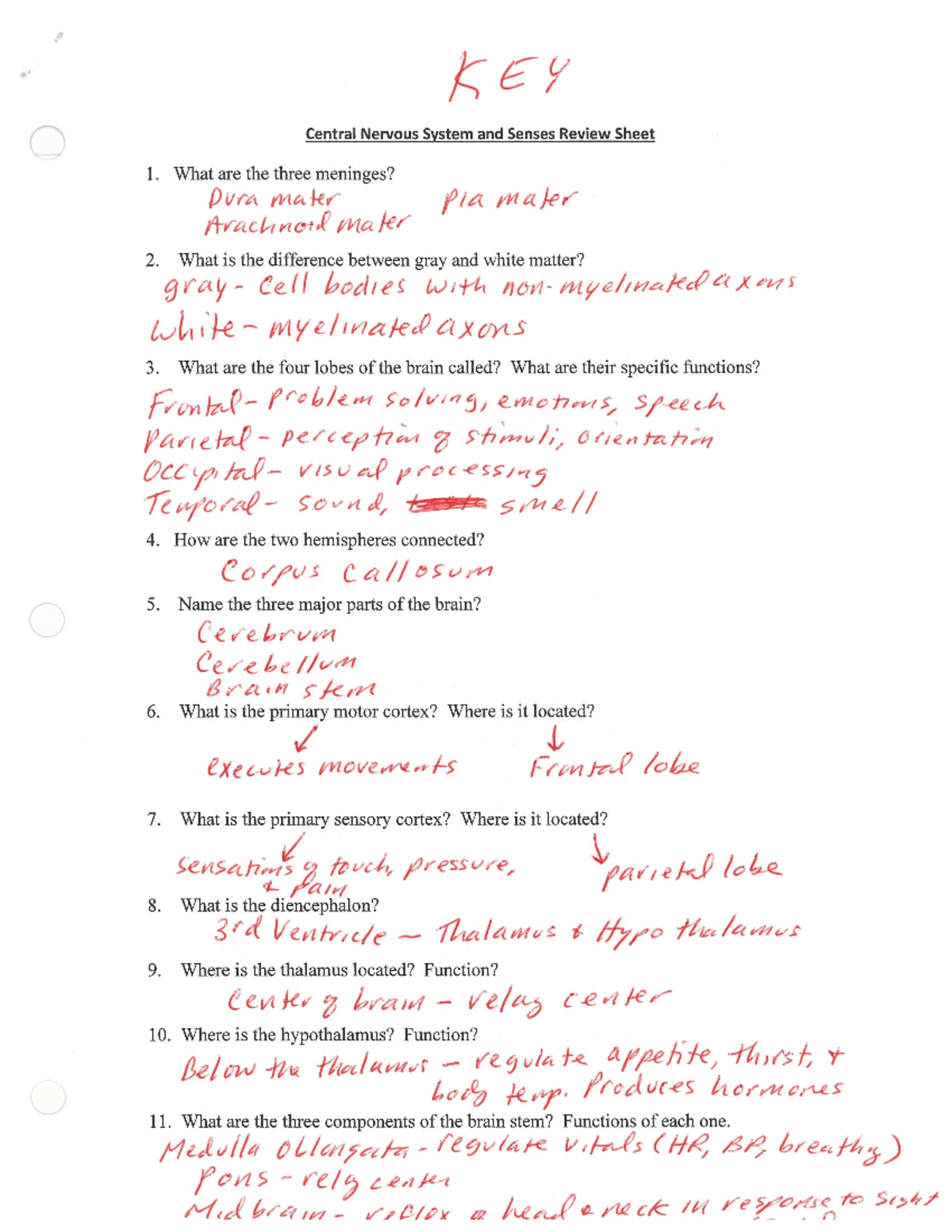 Chapter 7 - Nervous System - BIOL1170 - Studocu