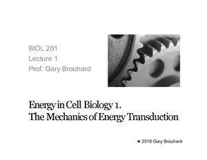 Lecture notes, lecture 1 - 17 rn - BIOL 201 – Cell Biology and ...