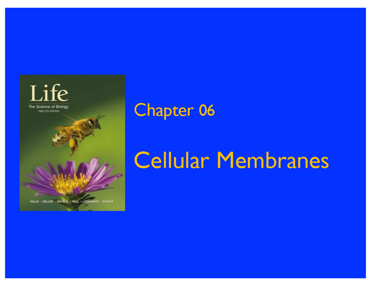 Color - Chapter 6 - Cell Membranes - Cellular Membranes Chapter 06 ...