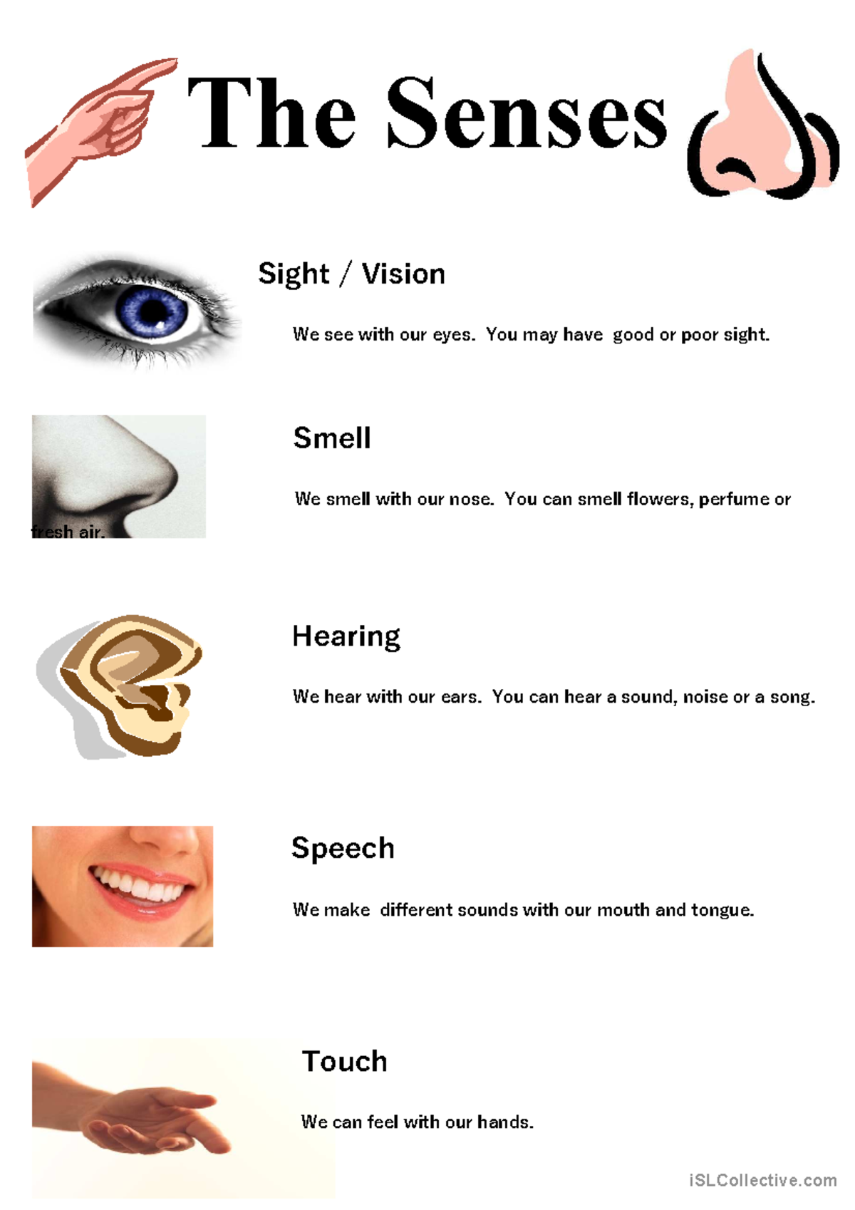 The Senses - The Senses Sight / Vision We see with our eyes. You may ...