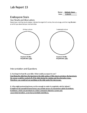 Gram stain technique Lab worksheet - Name - Studocu