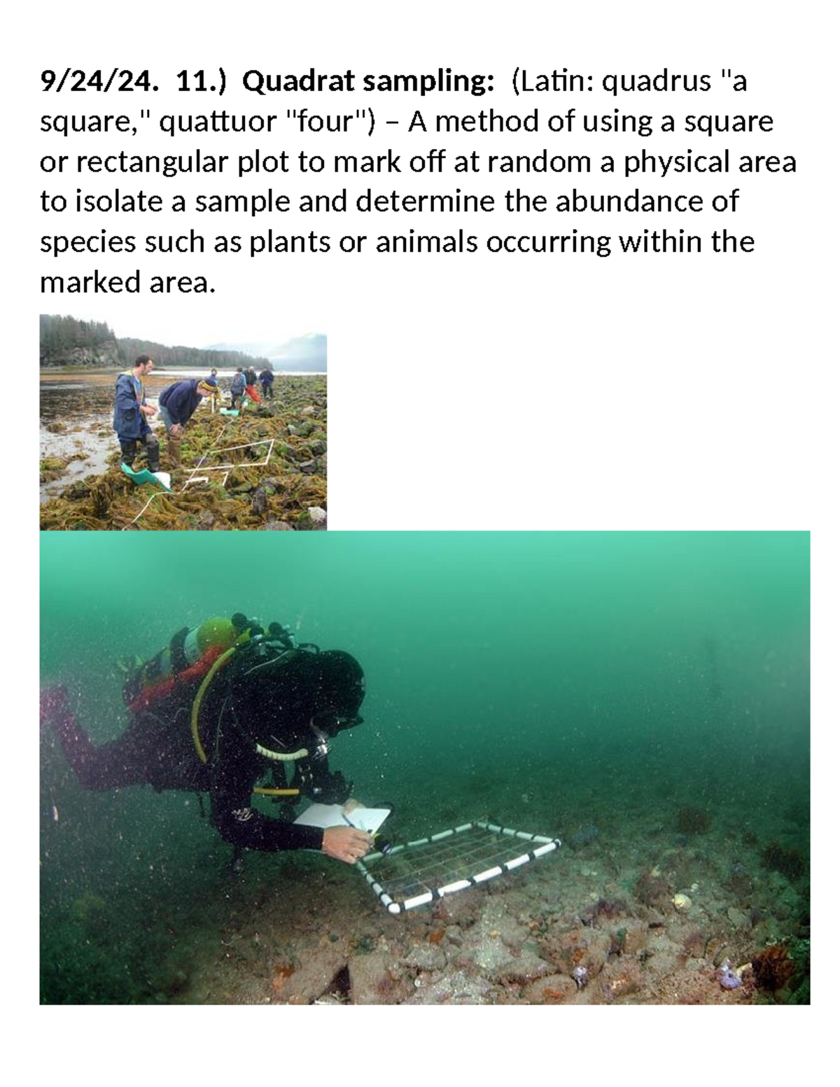 Quadrat - notes - 9/24/24. 11.) Quadrat sampling: (Latin: quadrus "a ...