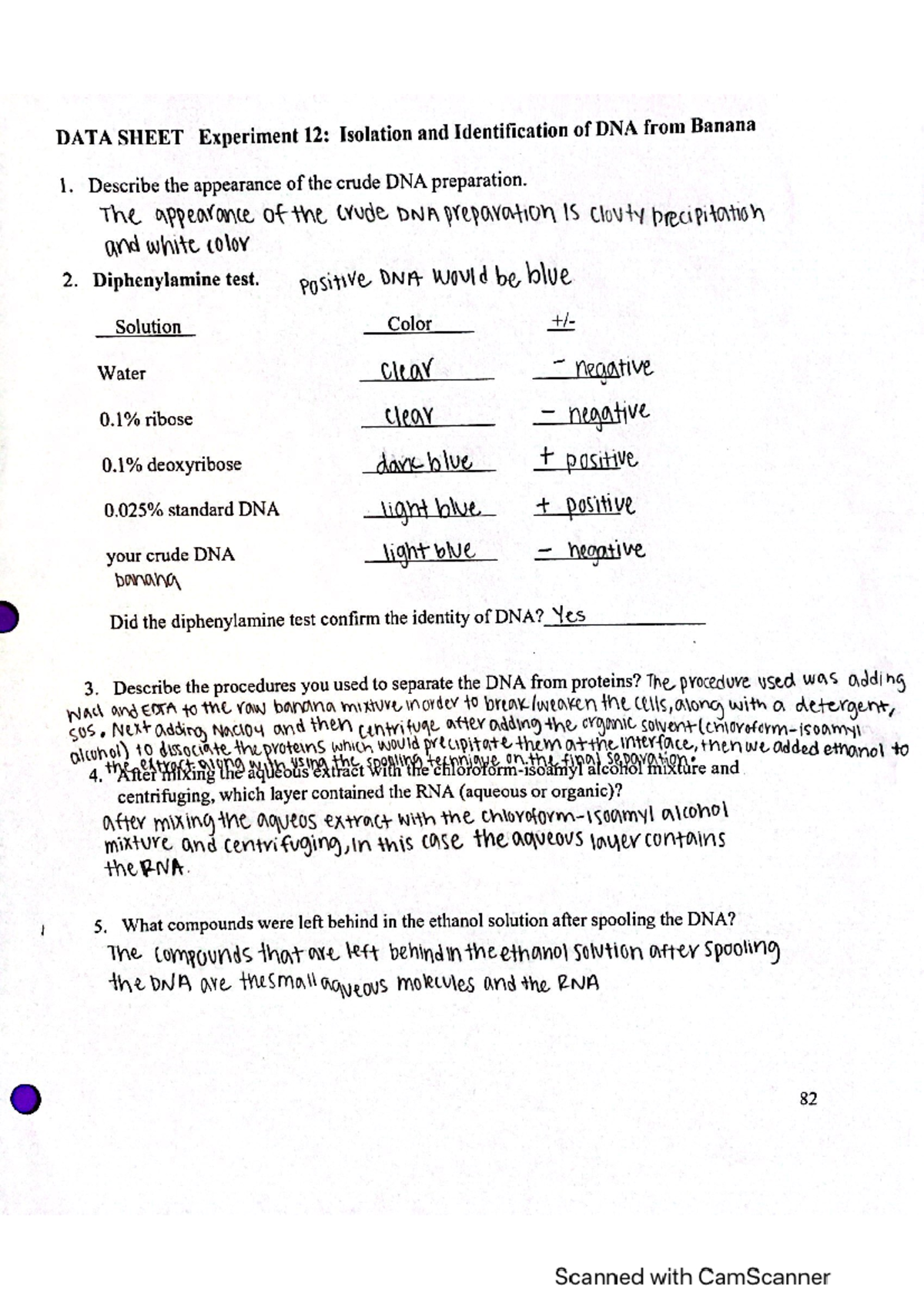 Experiment 12: Isolation and Identification of DNA From Banana - CHEM ...