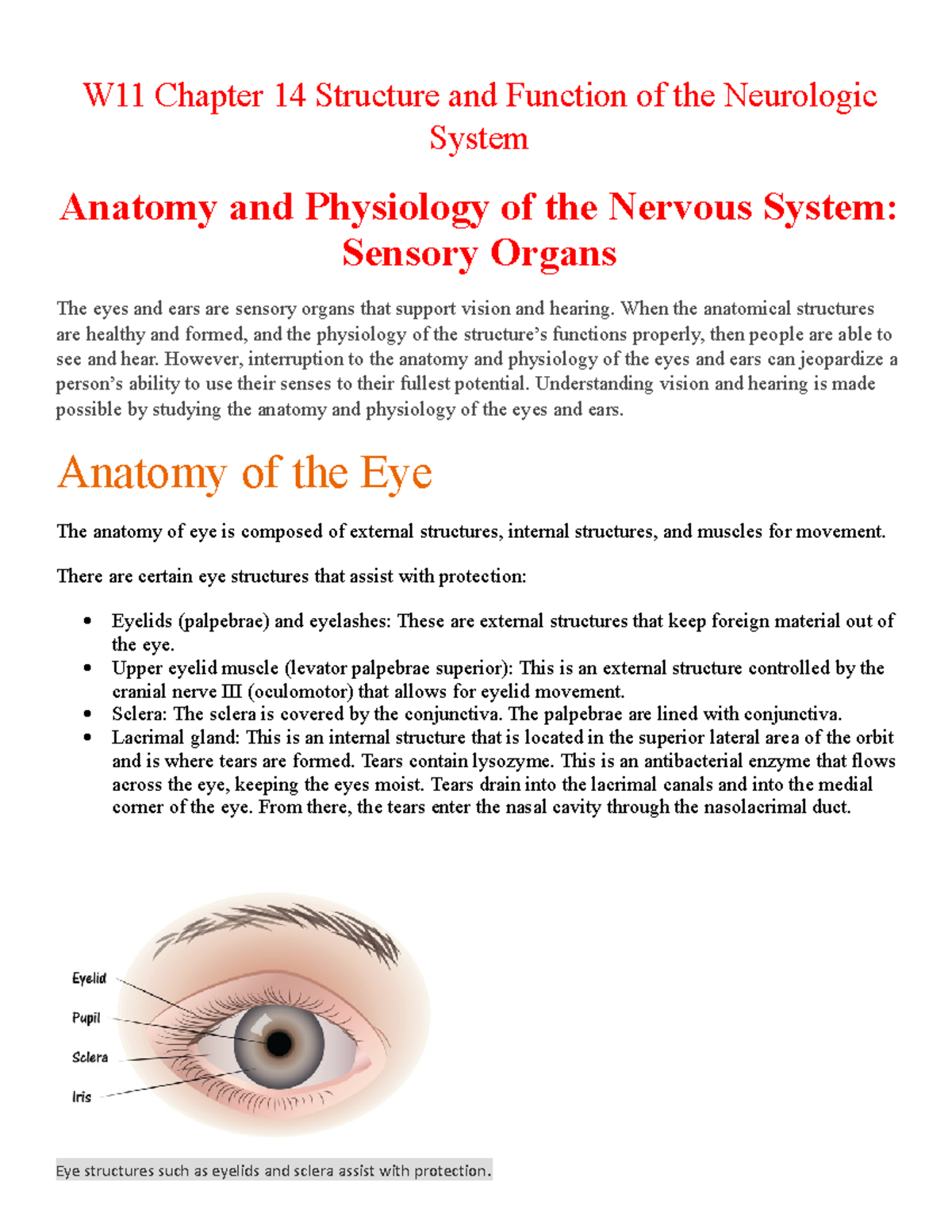 W11 Ch 14 Anatomy AND Physiology OF THE Sensory Organs Neurologic System - W11 Chapter 14 ...