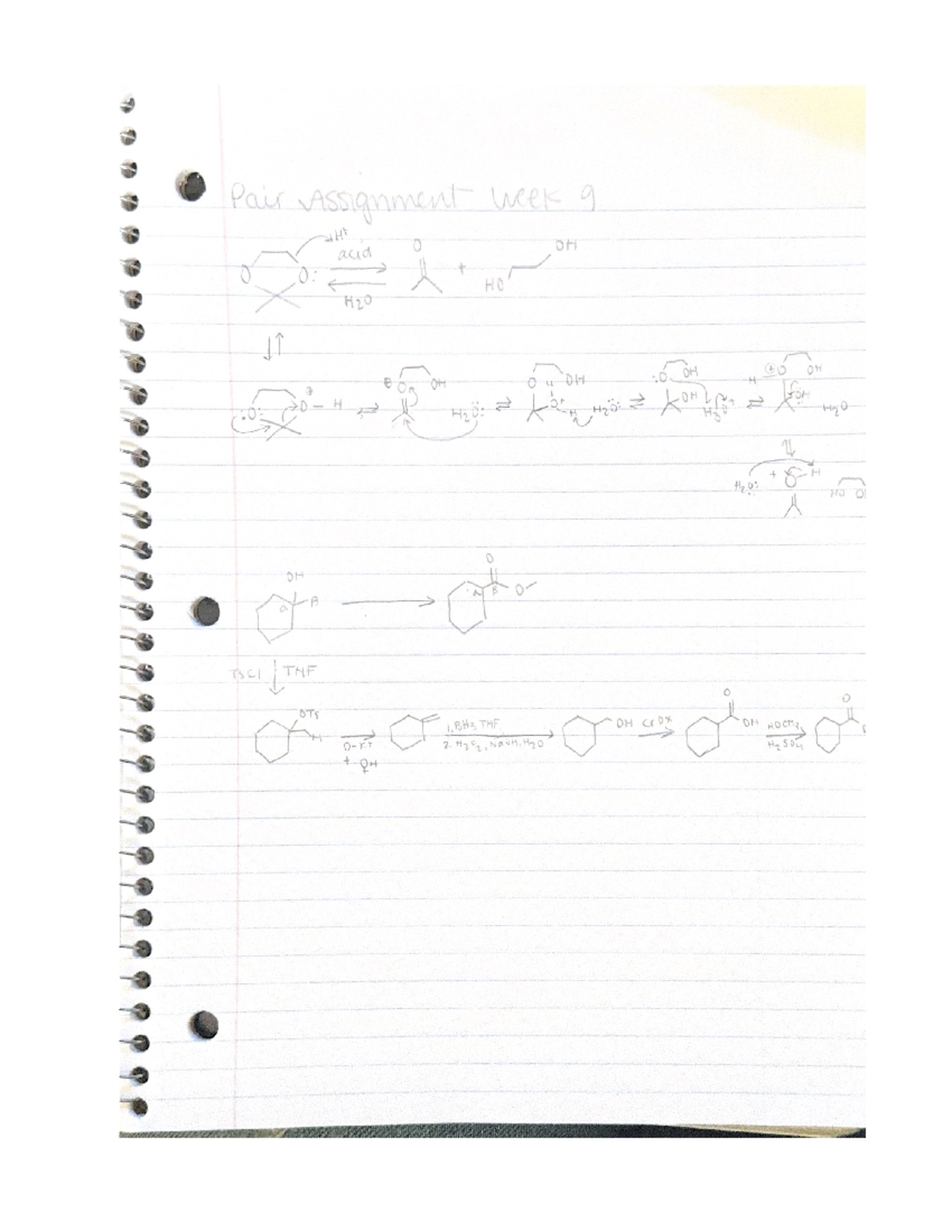 Week 9 - Practice problems for reaction mechanisms. - CHEM 1315 - Studocu
