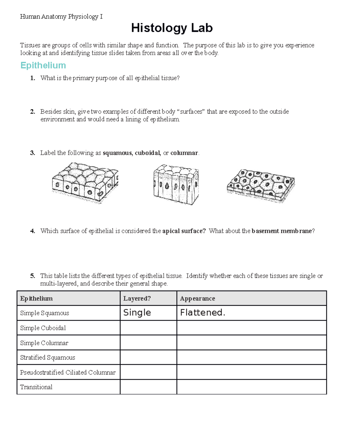Histology - This is coursework for Human Anatomy Physiology I. - Human ...