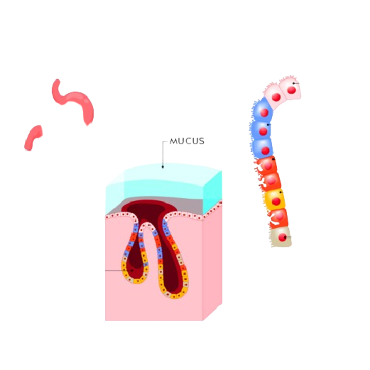 Png2pdf - nonononono - SCIE 198 - Studocu