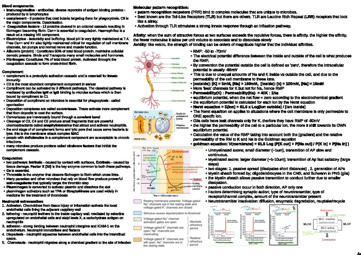 Biosci final exam cheat sheet practice - Ac Blood components: - immunoglobulins - antibodies ...