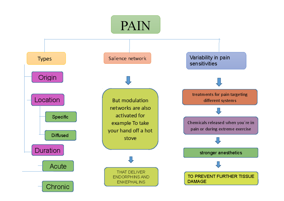 PAIN conceptual map - PAIN Specific Diffused Acute Chronic Duration ...