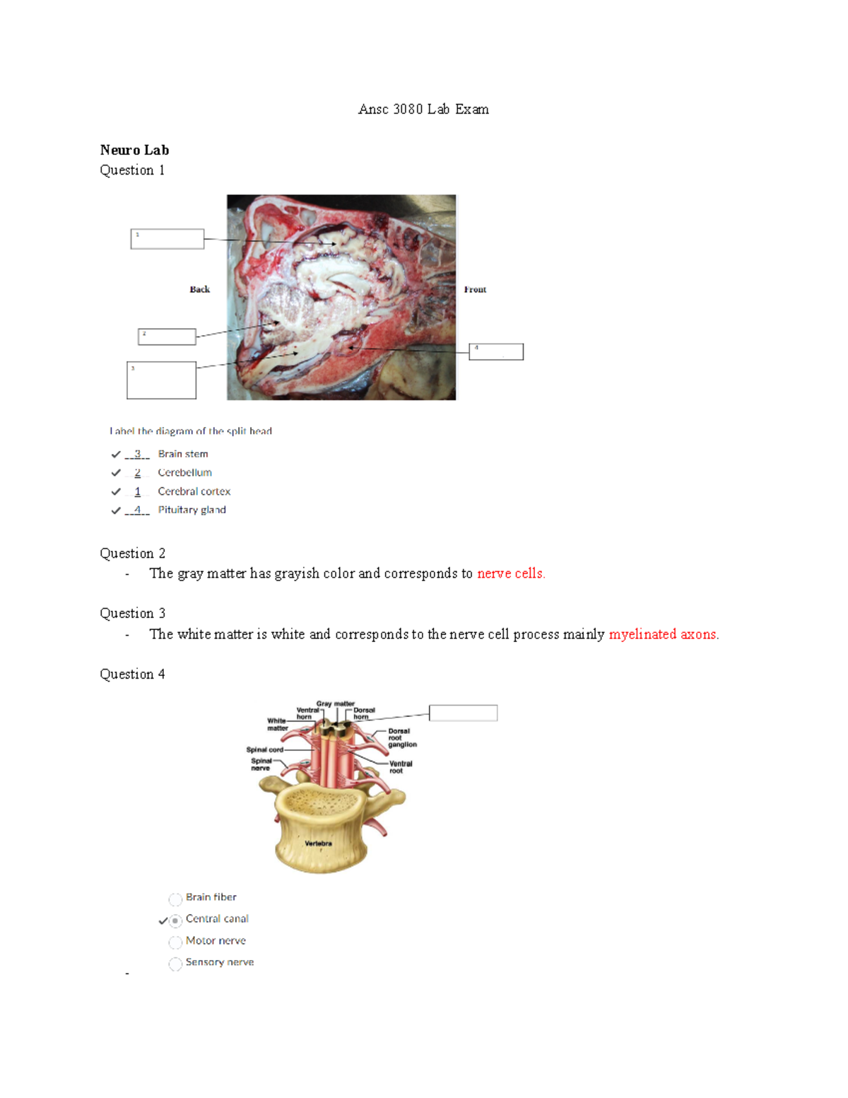 Ansc 3080 lab exam - This is a review for the ansc*3080 lab exam ...