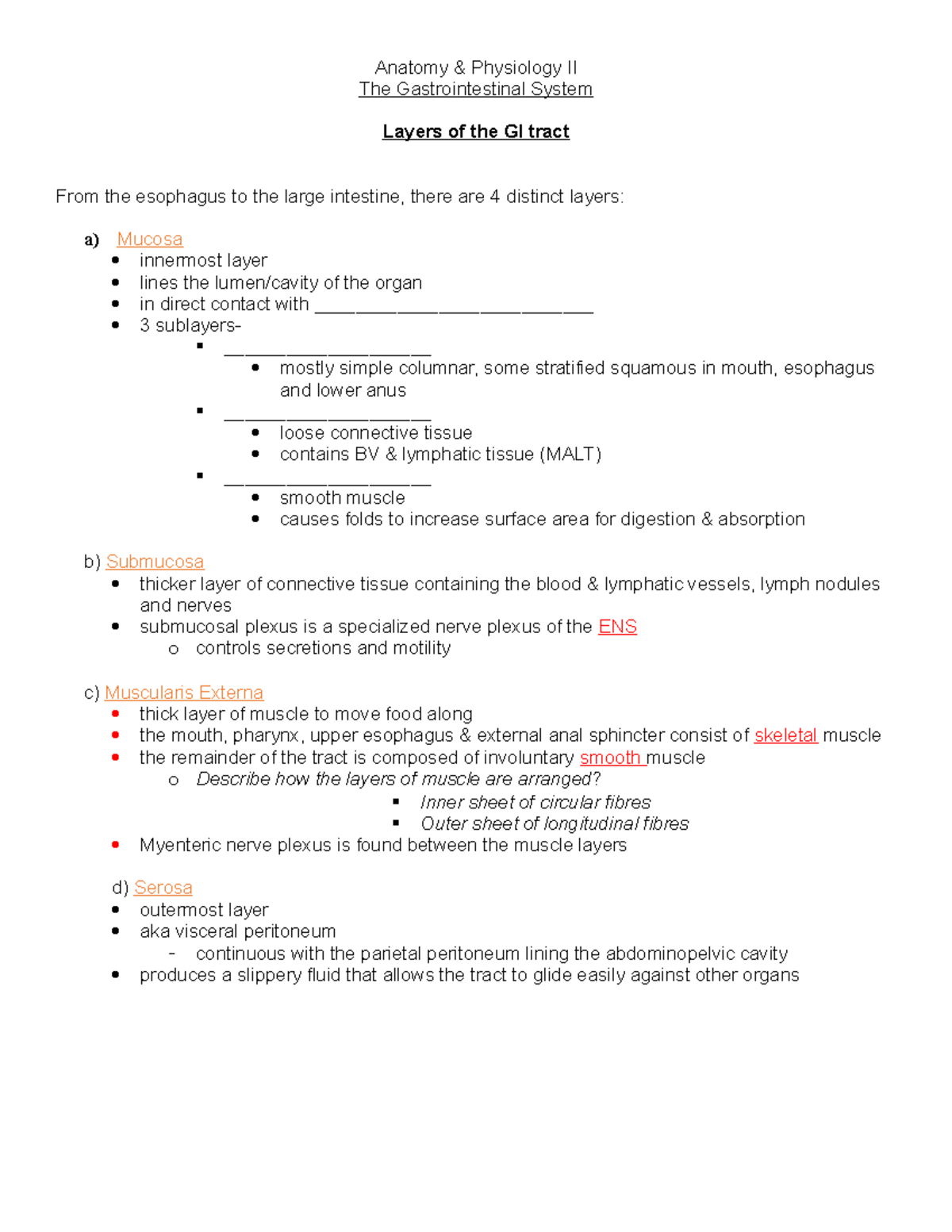 Week 12 Lab - Digestive - teacher: Professor Patterson - Anatomy ...
