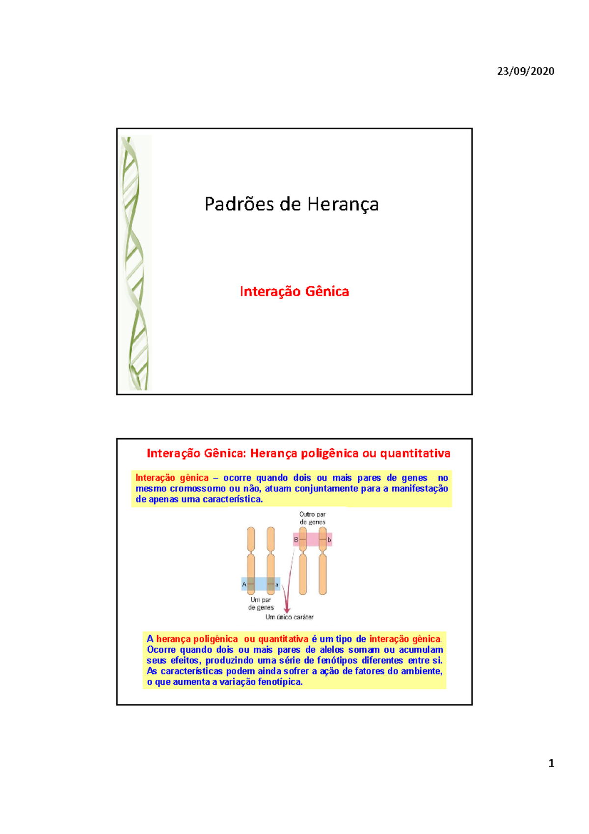 Padroes DE Herança- Interaçao Genica - Padrões de Herança Interação ...