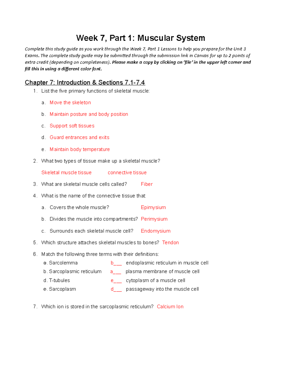 Study Guide Muscular System - Week 7, Part 1: Muscular System Complete ...