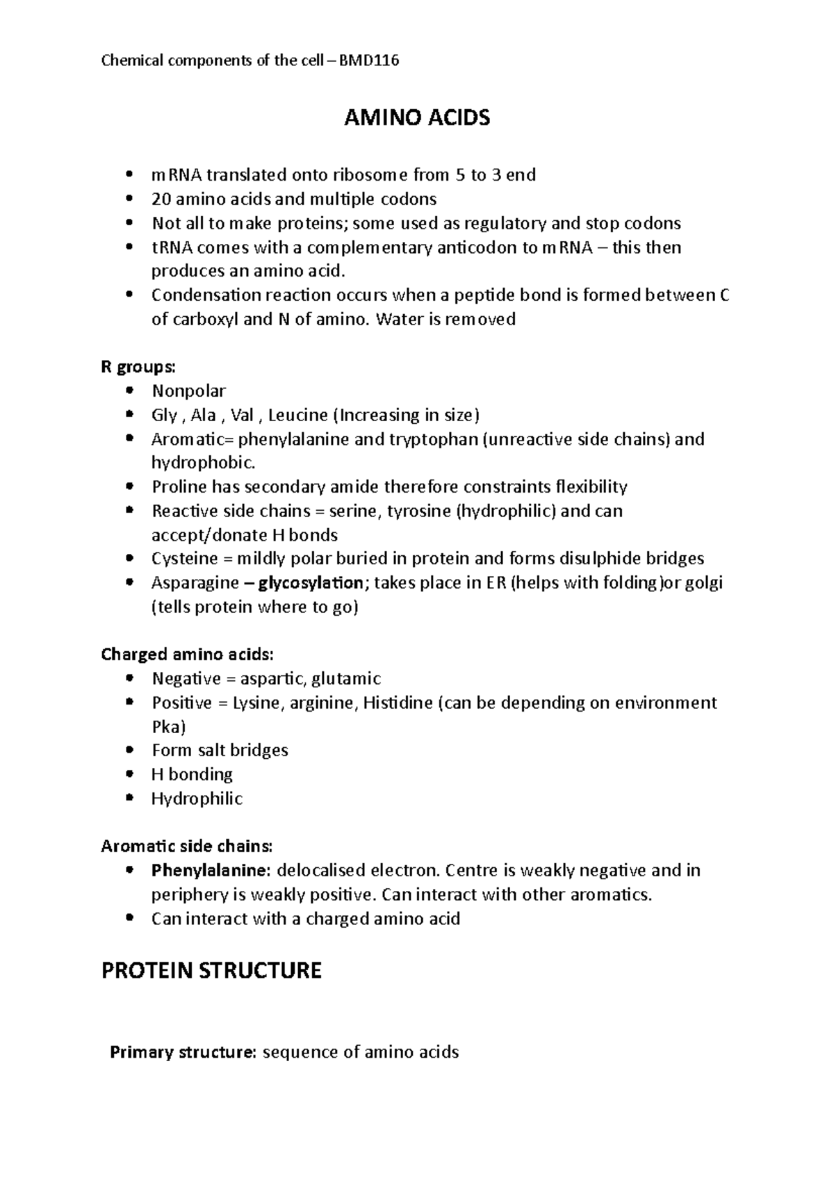 Amino acids, building blocks of proteins - AMINO ACIDS mRNA translated ...