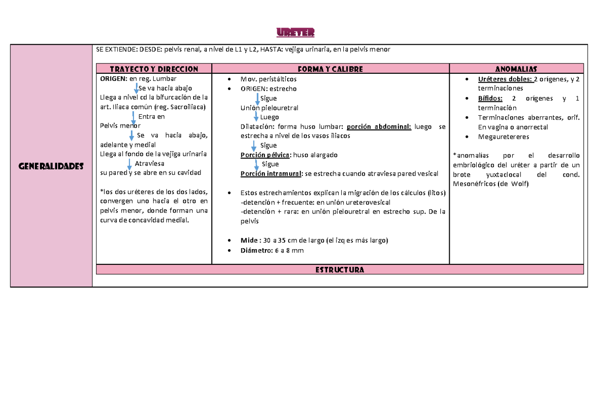 Resumen Anato Semana 11 Morfo II - Embriología - UPAO - Studocu