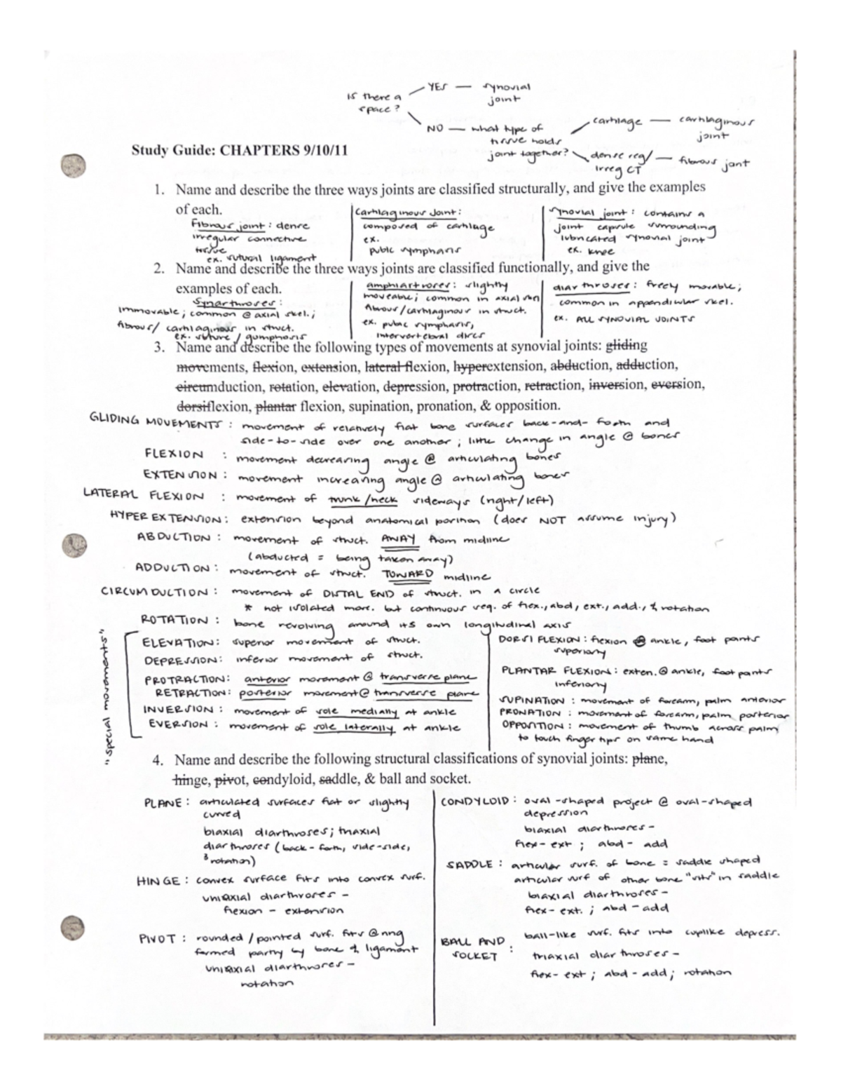 Anatomy SG 9-11 - Study Guide for Joints, Movements, and Intro to ...