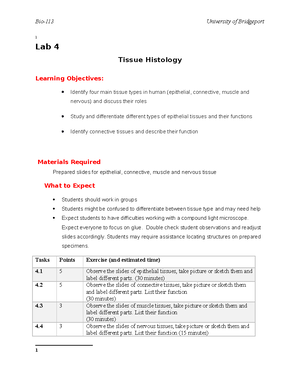 Chapter 3 Assignment - if needed - Chapter 3 I. The Cell Membrane ...