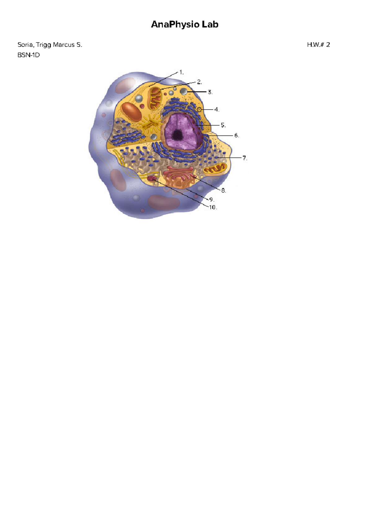 Euk - Eukareut - Nursing - AnaPhysio Lab 2 Soria, Trigg Marcus S. 1. 2 ...