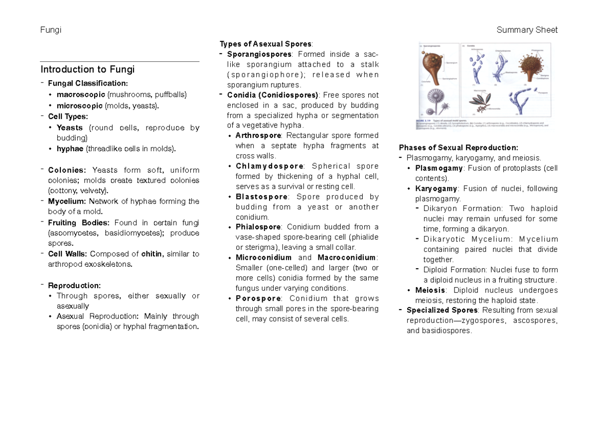 Fungi Transes - Introduction to Fungi - Fungal Classification ...