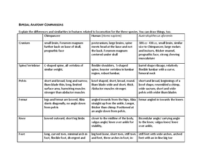 Primate Traits Comparison Table worksheet 2020 - Strepsirrhini ...
