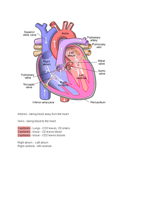 [Solved] Paraphrase this in a easy understanding the purpose of this ...