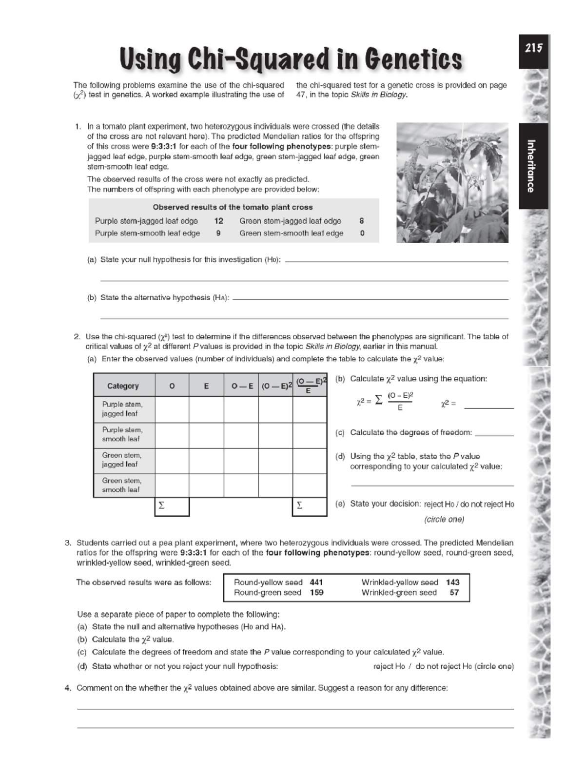 Using Chi-Square in Genetics NZ w Key - KEY: - Studocu