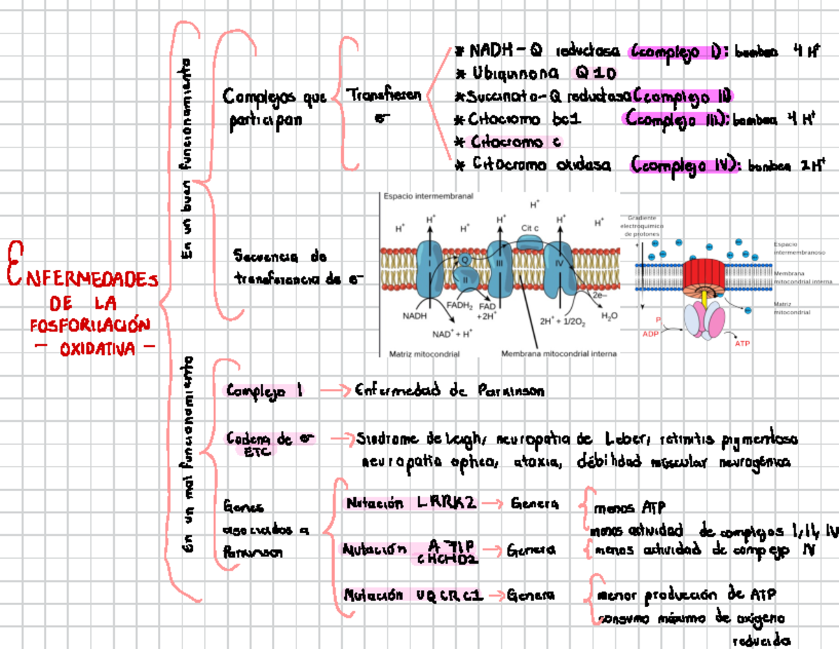 Mapa - Mapa - · a O I ↓ · = E · q funcionamiento En un buen ...