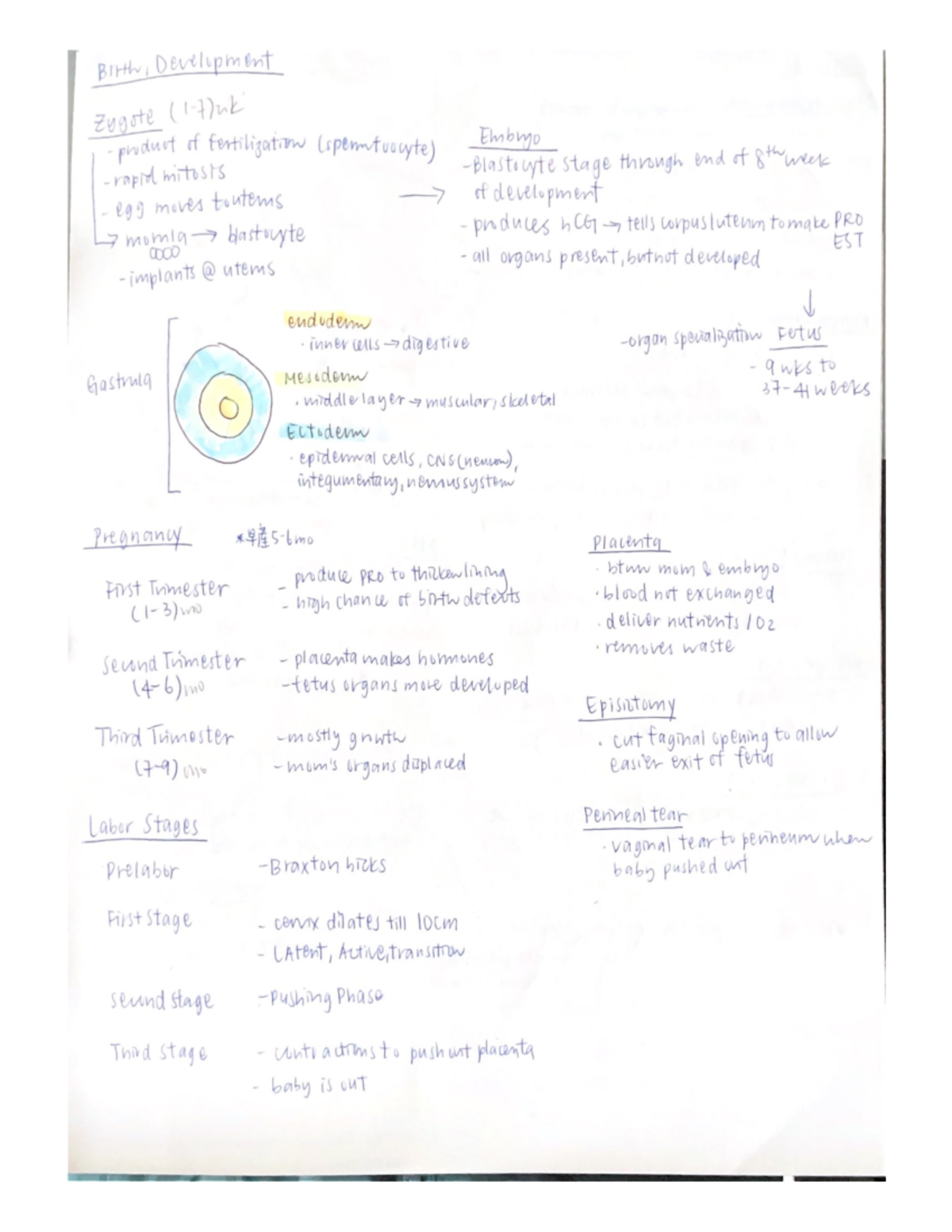 Reproductive System - BIOL_SCI 313-CN - Studocu