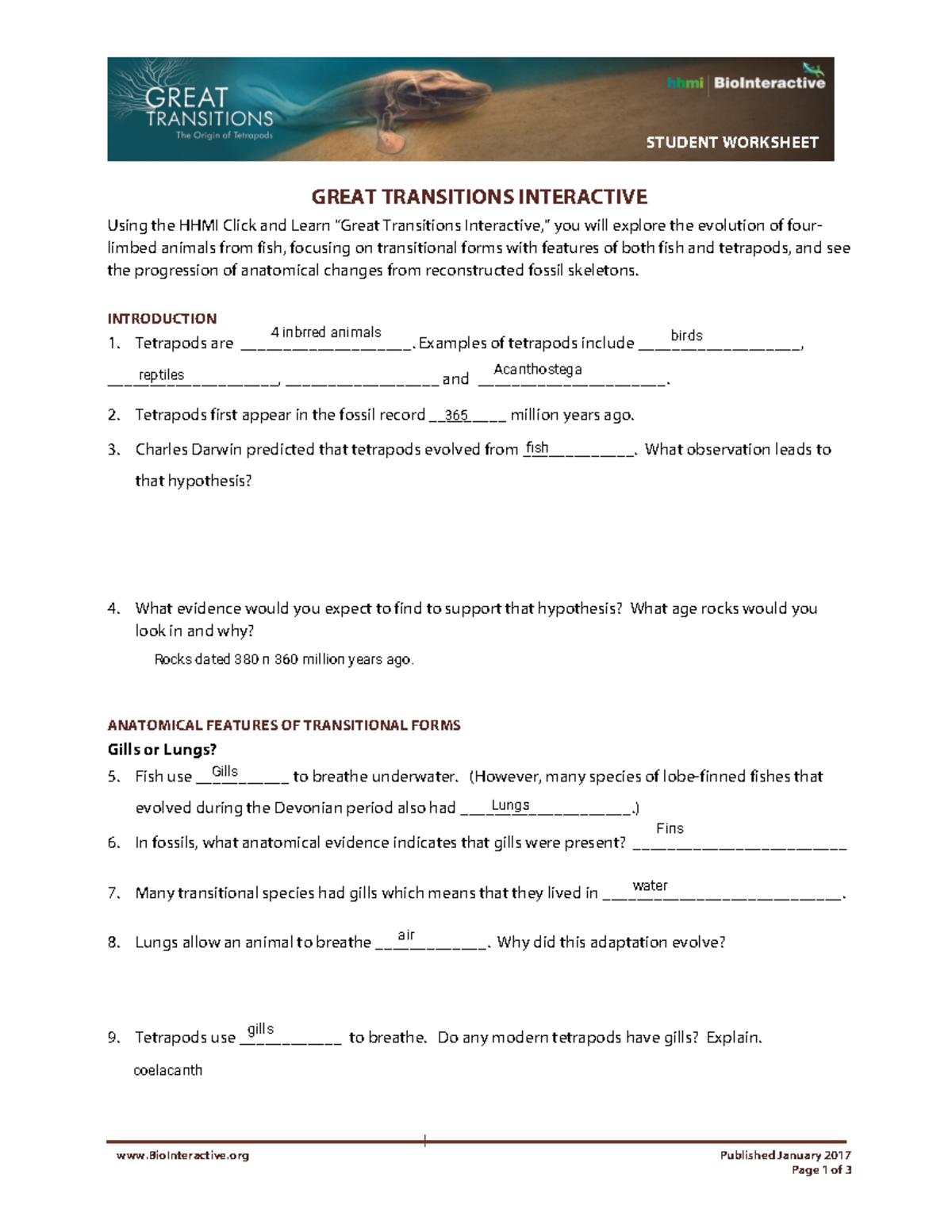 Kami Export - Tetrapod-Great Trans Interactive-worksheet ...